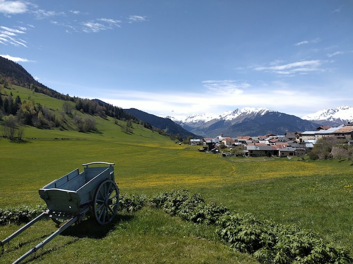 Chalet Le Panoramic 1300 - Proche La Plagne - Aime