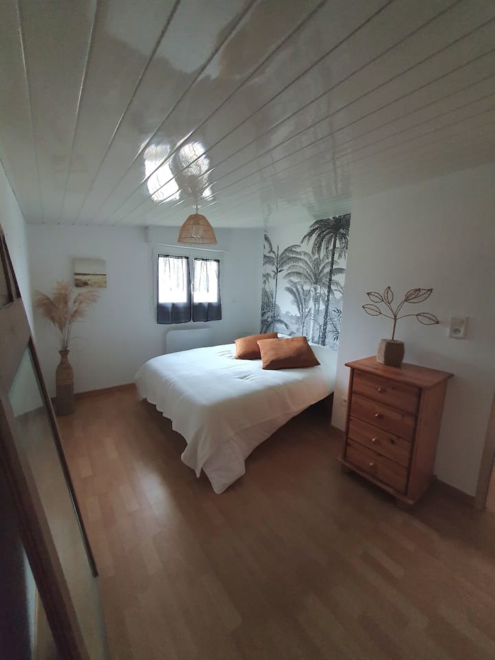 Casaschamallow B - Berck