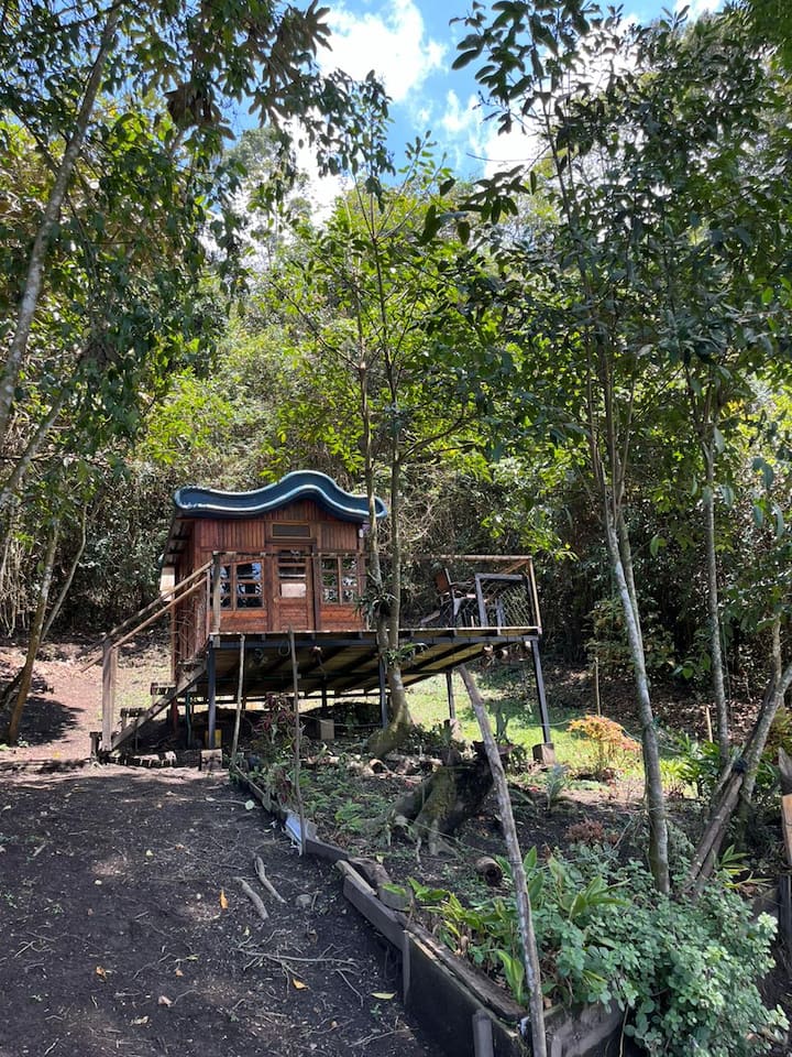 Gretel: Refugio En La Naturaleza - San Francisco