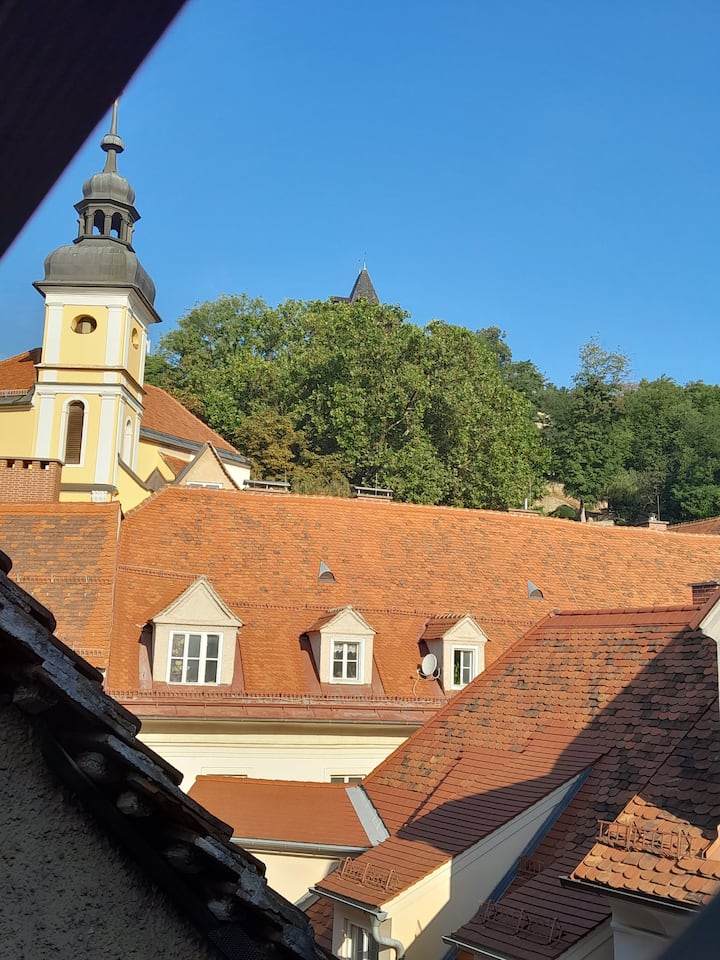 4 Personen Innenstadt- Suite - Topadresse - Graz