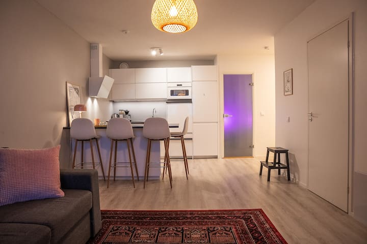 Polar Night Shelter: 1br W/ Parking - Rovaniemi