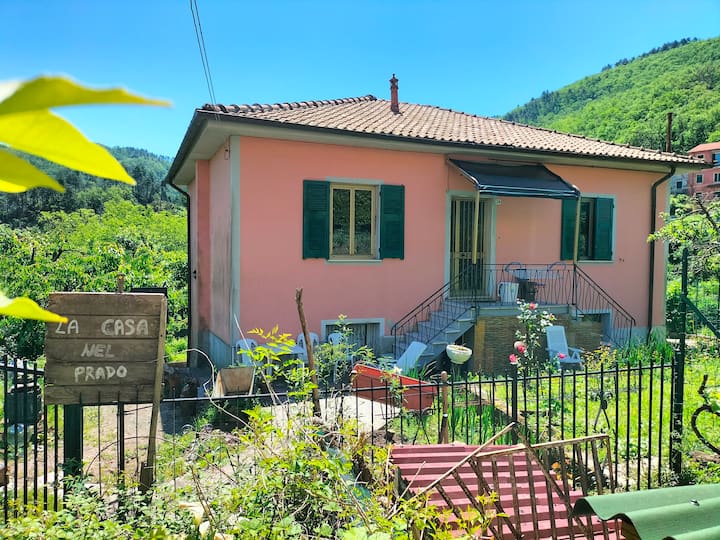 La Casa Nel Prado
(Citra 011015-lt-2923) - Manarola