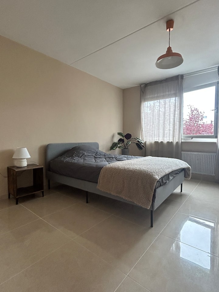 Narwal Room Zuid - Zaandam