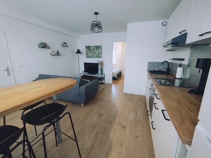 Apt. Confort Rdc, Parking Privé - Castres