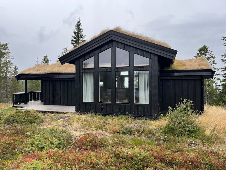Hytteidyll I Skogens Ro - Norway