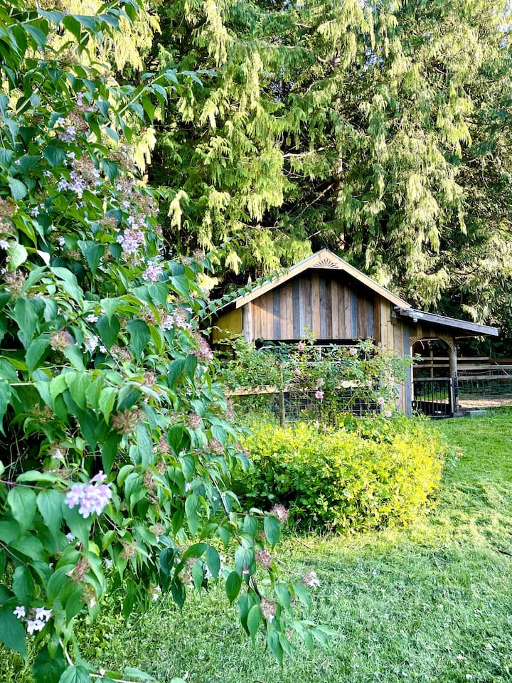 Farm Cabin: Sauna & Cold Shower - Quadra Island