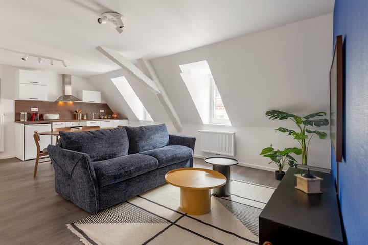 Travel Homes - Rapp Apart 2, Charme à Colmar - Colmar