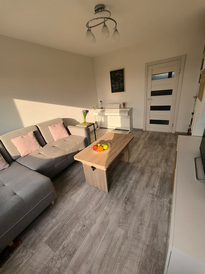 Flat For The Short Visit - Vilna