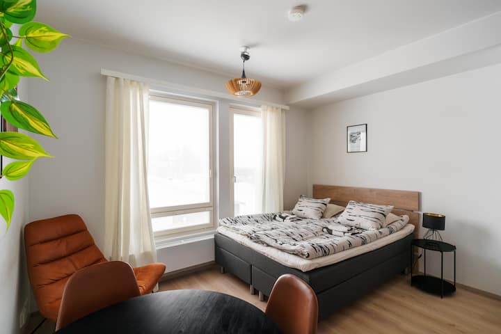 Northern Studio, Free Parking & Wifi - Rovaniemi