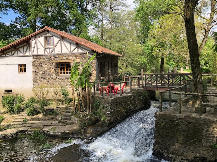 Gîte 3* - Moulin De Besson.  Dépaysement Garanti. - Saint-Philbert-de-Grand-Lieu