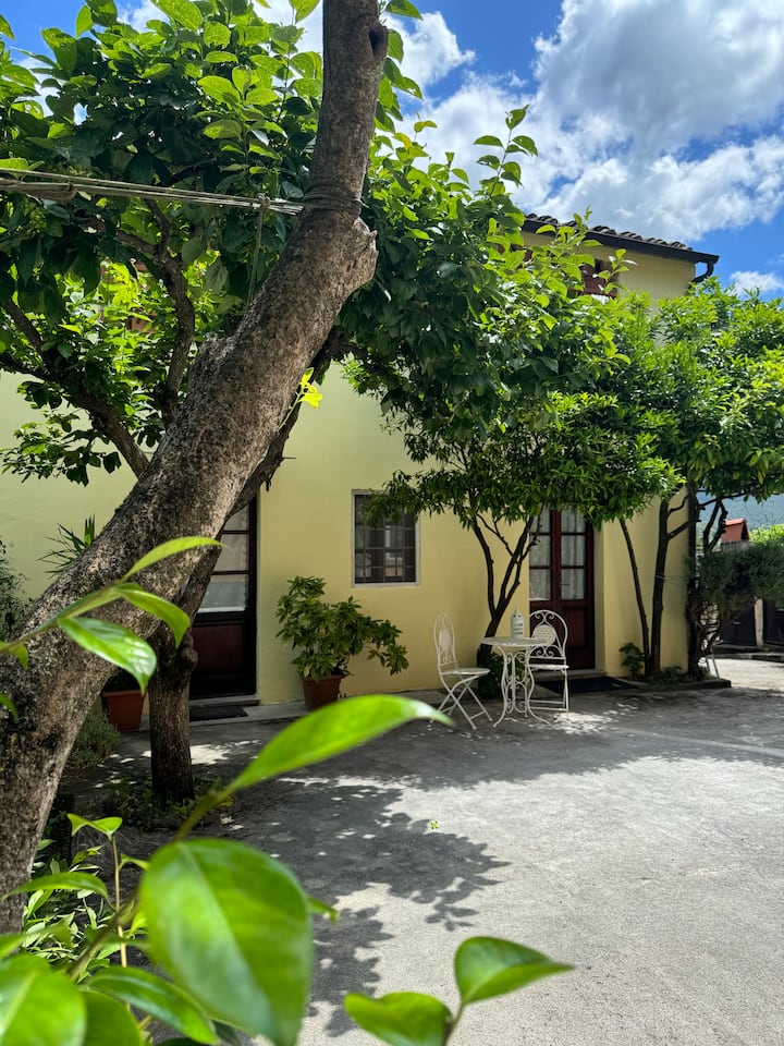 Fiori E Lucciole In Toscana - Province de Lucques