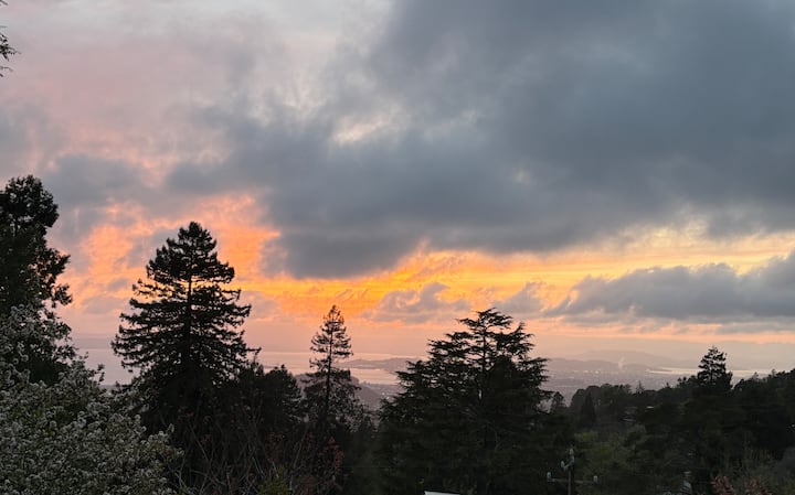 Hidden Secret In Berkeley Hills - Berkeley, CA