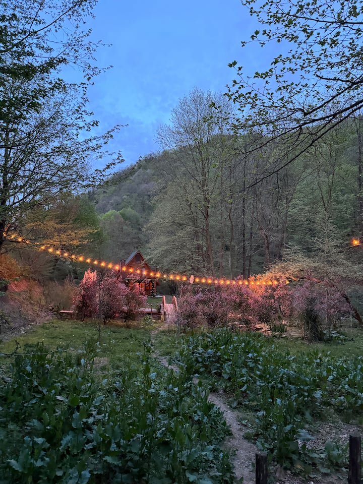 Cozy Cabin With Breathtaking River Views - Yalova