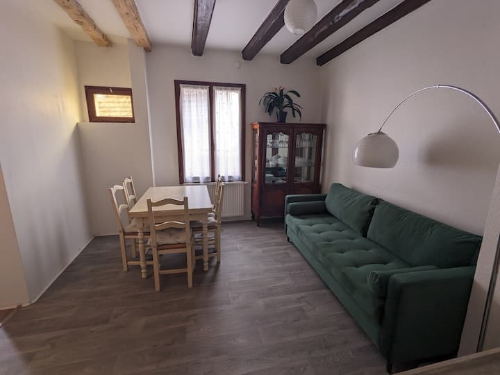 Bel Appartement Familial+garage - Hœnheim