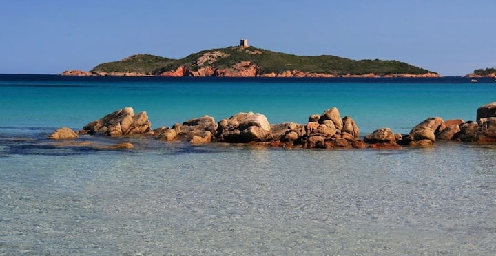 Appart Bord De Mer Pinarello (Piscine + Activités) - Sainte-Lucie de Porto-Vecchio