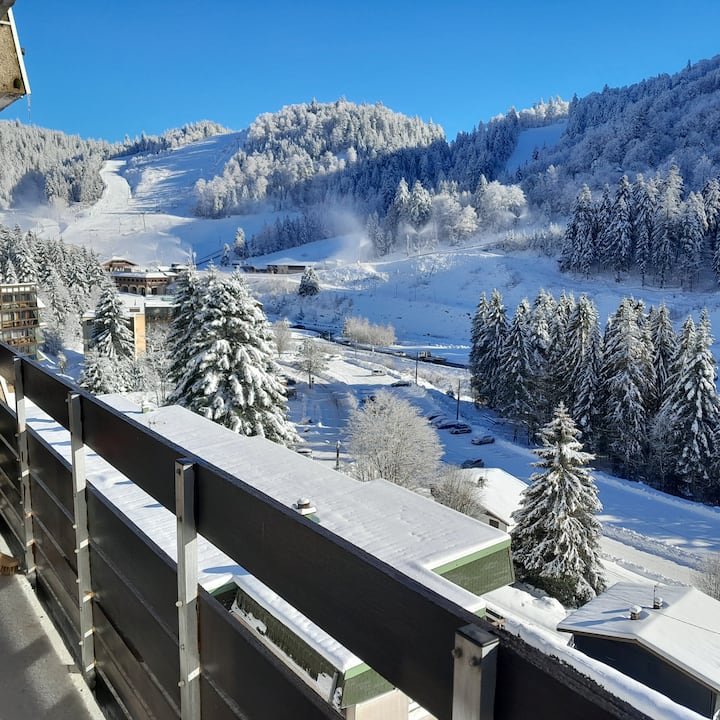 Appartement Osca Des Brimbelles - La Bresse