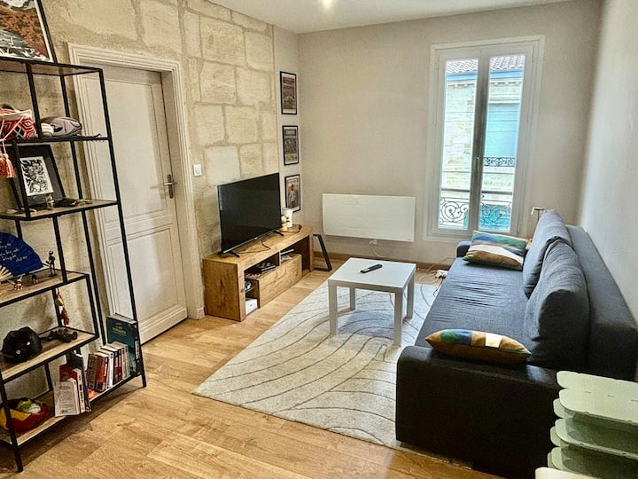 Agréable Appartement Pierre Bordelaise - Bordeaux