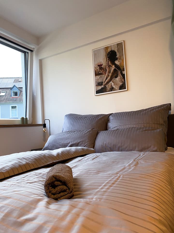 Modernes Apartment Im Zentrum Inklusive Parkplatz - Osnabrück