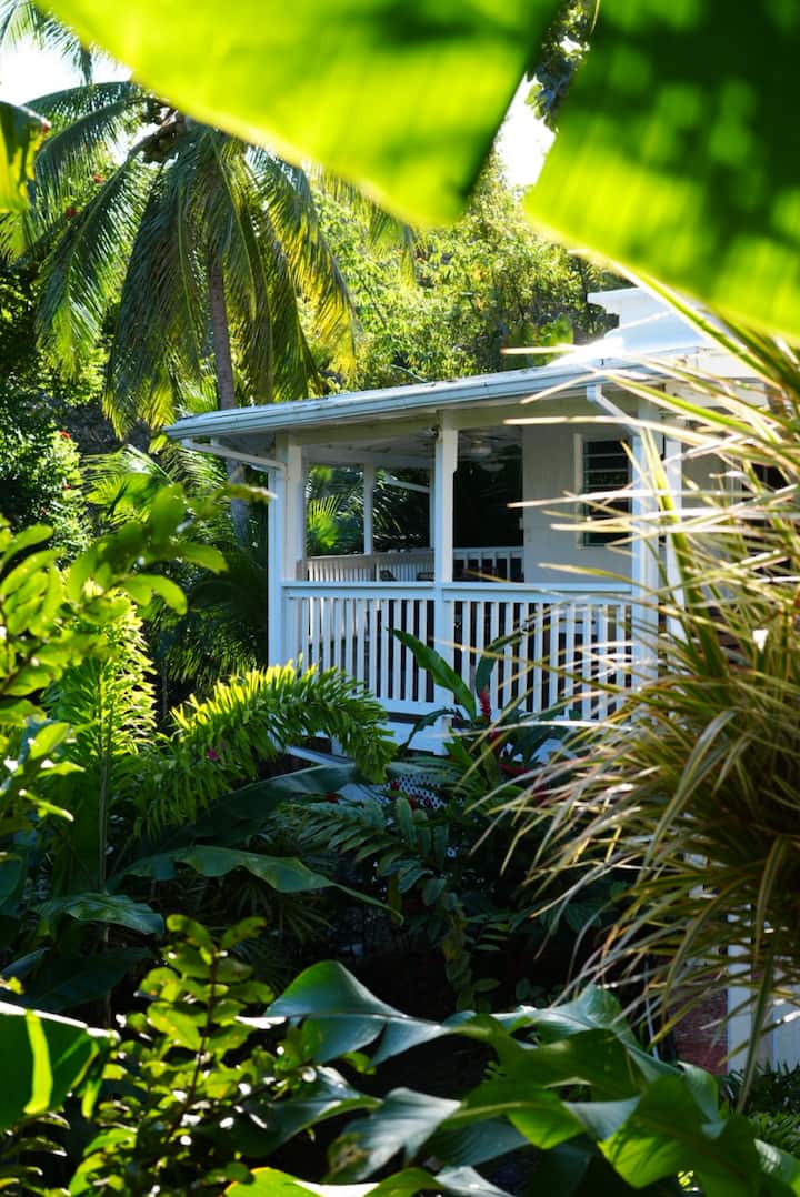 Casa Eden, Jungle Getaway, A Walk To The Beach - Rincón