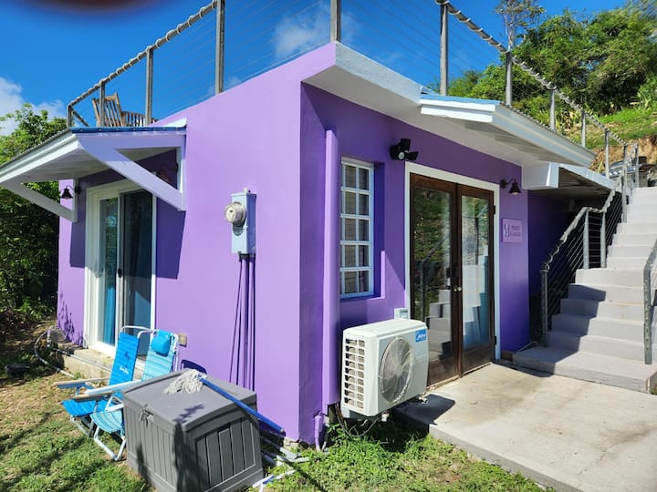 The Purple Flamingo - Cruz Bay