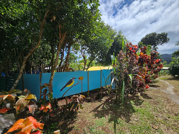 Zephyra's Wisdom
2
Cottage Sugarcane - Dominique