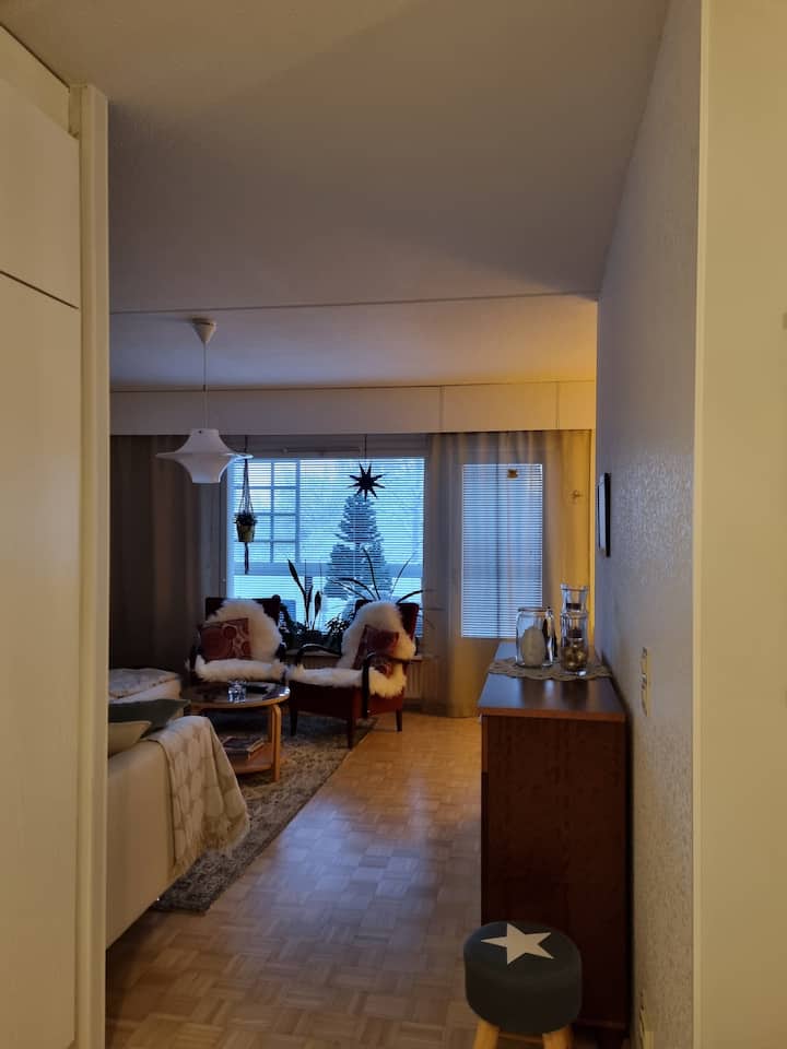 Koti Kaupungin Keskellä - Rovaniemi