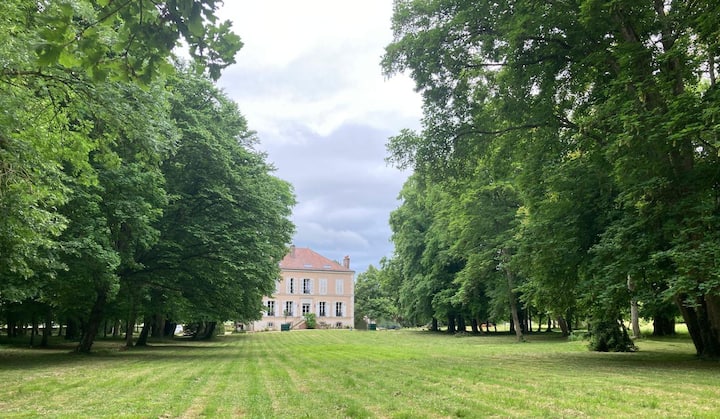 Château De Famille, Piscine, 14 Voyageurs - Aube