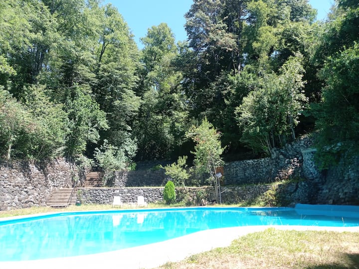 Cabañas L'etoile - Pucón. Piscina,juegos,senderos -