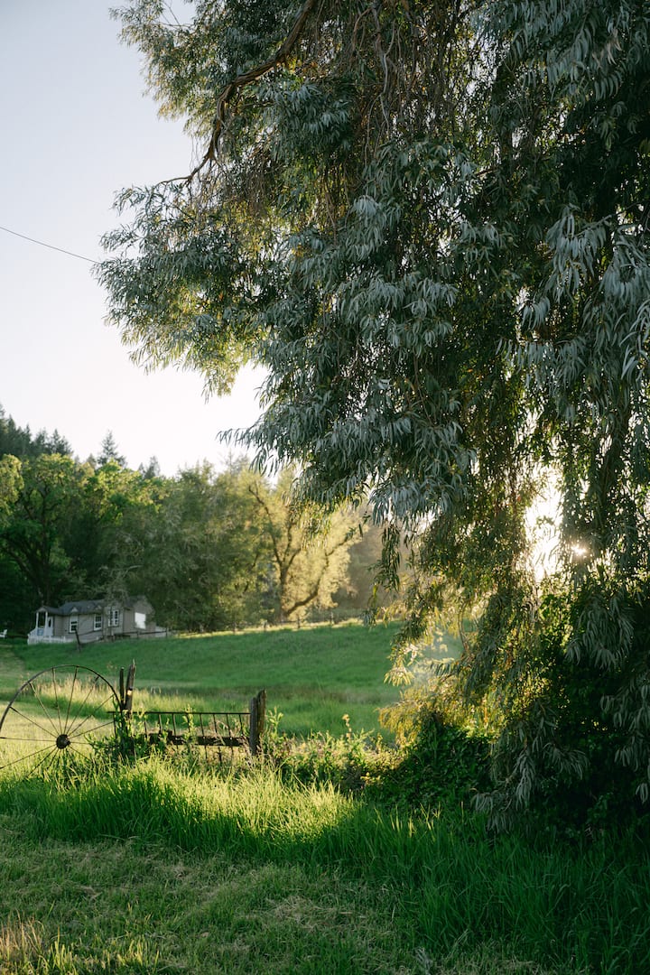 Garden Cottage At Blackberry Ranch In Cloveradale - Cloverdale, CA