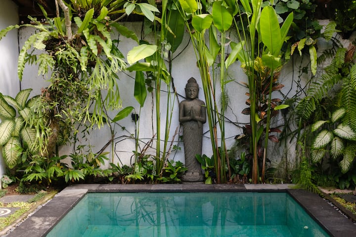 Third Eye House Ubud - Heal, Relax, Saltwater Pool - Bali