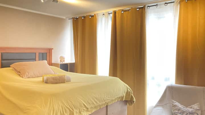 Simpático Y Cómodo Espacio, Metro Sta. Lucía - Santiago