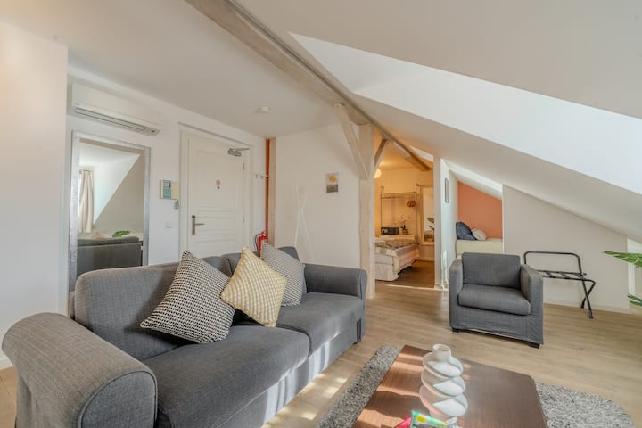 Family 2br Loft-apartment In City Centre W/ A/c - Praga