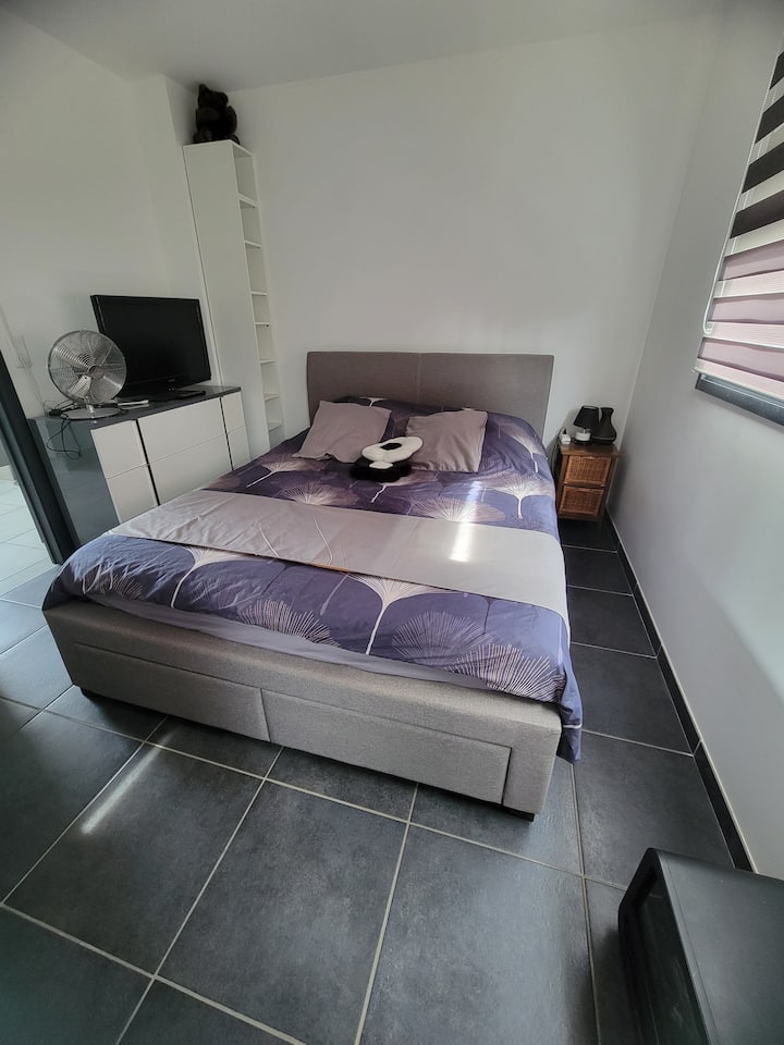 Chambre Chez Habitant +Sdd En Rdc 600m Port/plage - Aix-les-Bains
