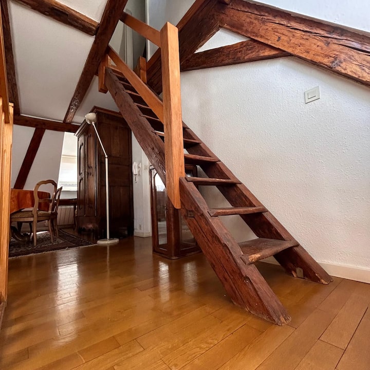 Appartement Spacieux En Plein Centre Ville - 스트라스부르