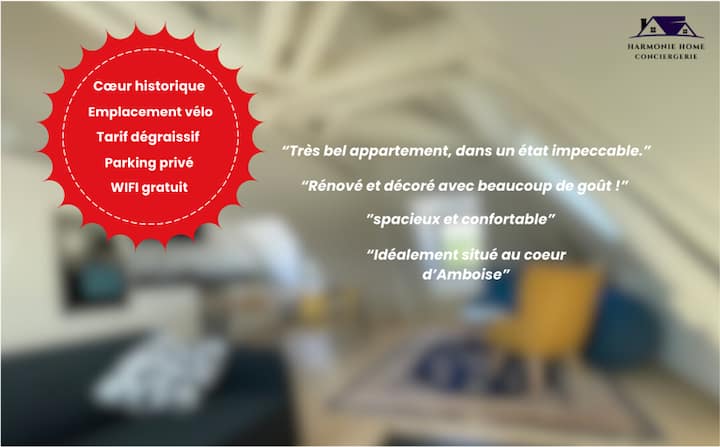 Magnifique Appartement Au Cœur D’amboise - Amboise