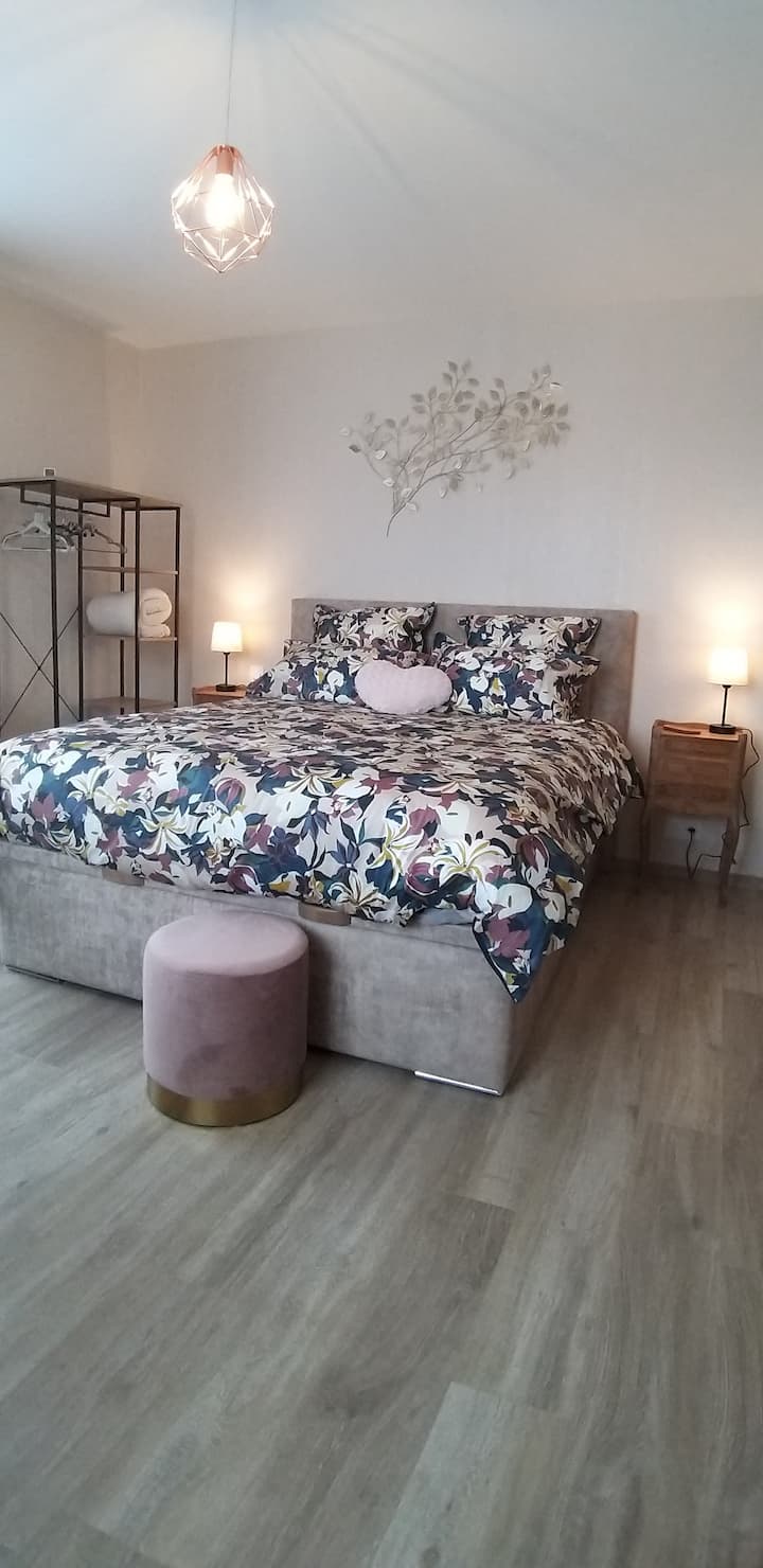 Gîte 130 M² 6pers/2sdb. 4* Meublé De Tourisme - Altkirch