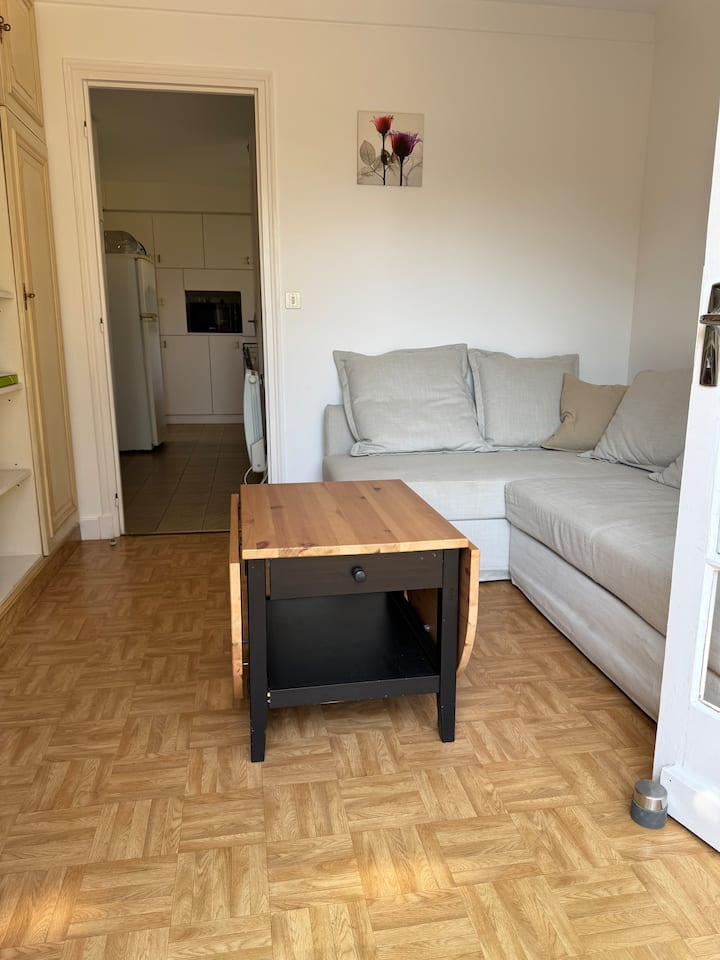 Appartement Luisa, à 10 Minutes Des Plages - Soustons