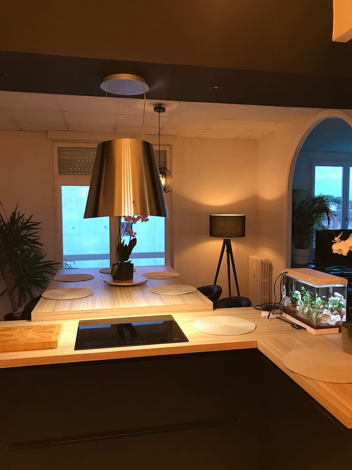 Appartement Spacieux Et Lumineux - Carcassonne