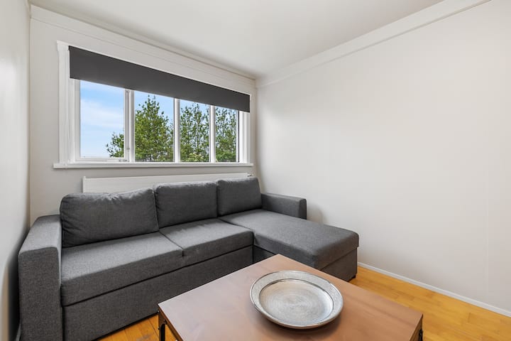 Loft Apartment - Eiriksgata - Reikiavik