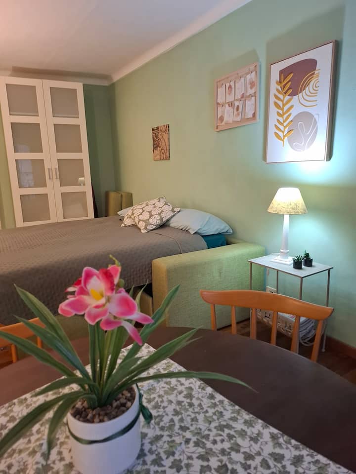 Monolocale In Piazzetta - Crissolo