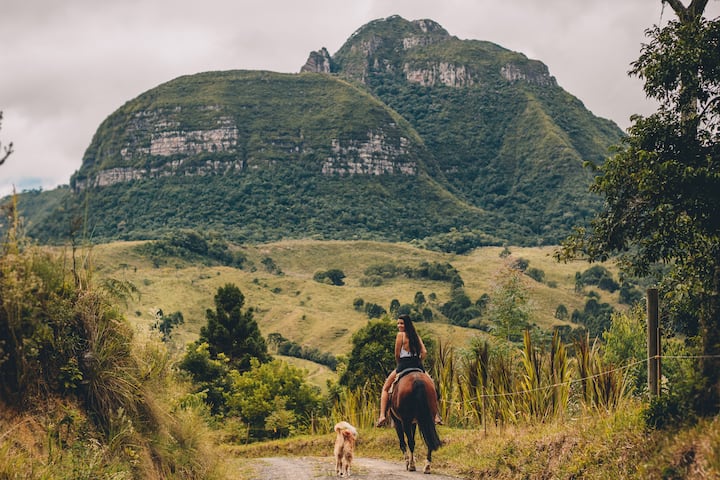 Caivallion - Turismo Rural E Terapias Equestre - Bom Retiro