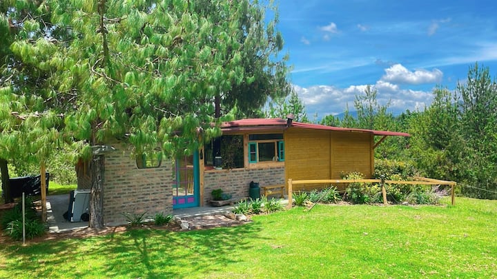 Home In The Woods - Sopo