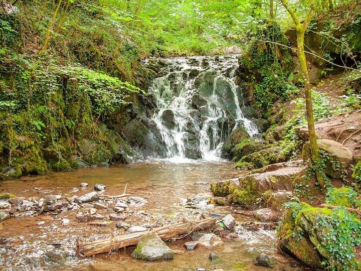 Ferienwohnung Wasserfall In Bad Bertrich - Bad Bertrich