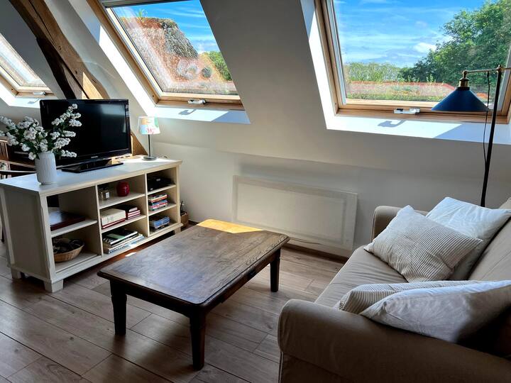 Loft Campagnard Avec Piscine - Château du Champ de Bataille