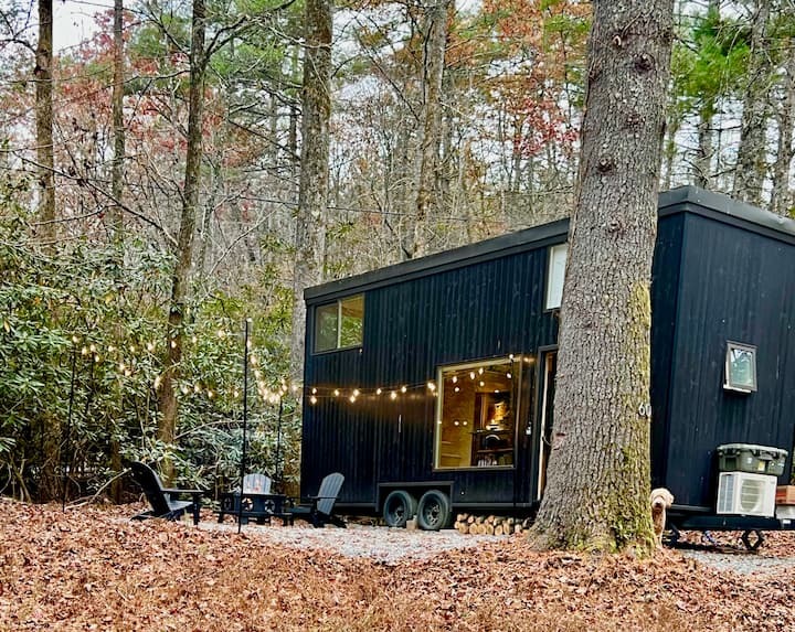The White Pine Haus W/ Sauna - Brevard, NC