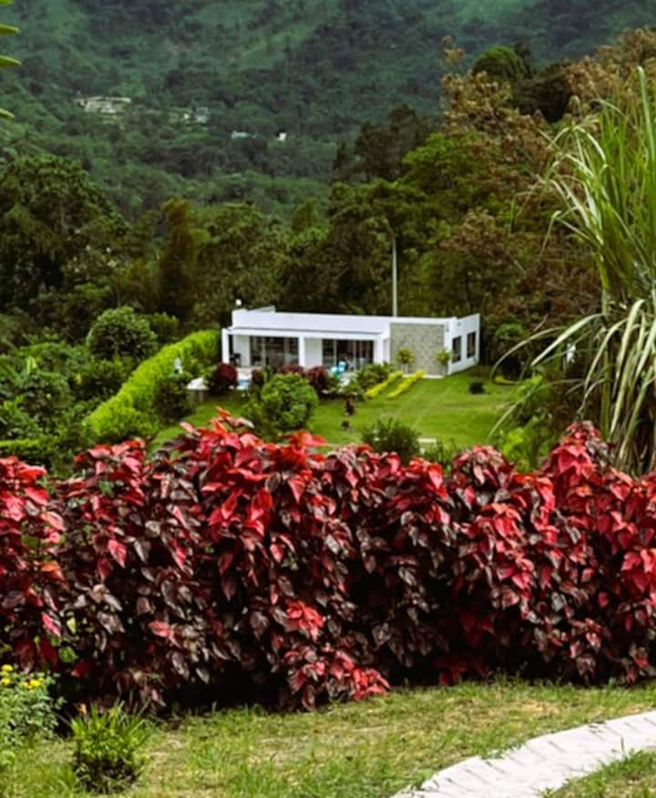 Modern Finca With Fresh Pool For 12 Villeta - New - La Vega