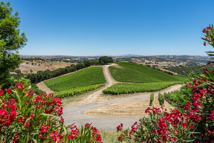 The Source Home @ Copia | Vineyard, Bbq, Jacuzzi - Paso Robles, CA