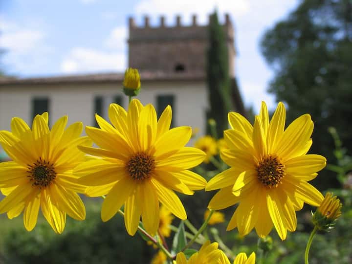 Ancient Villa With Tower - Toscane