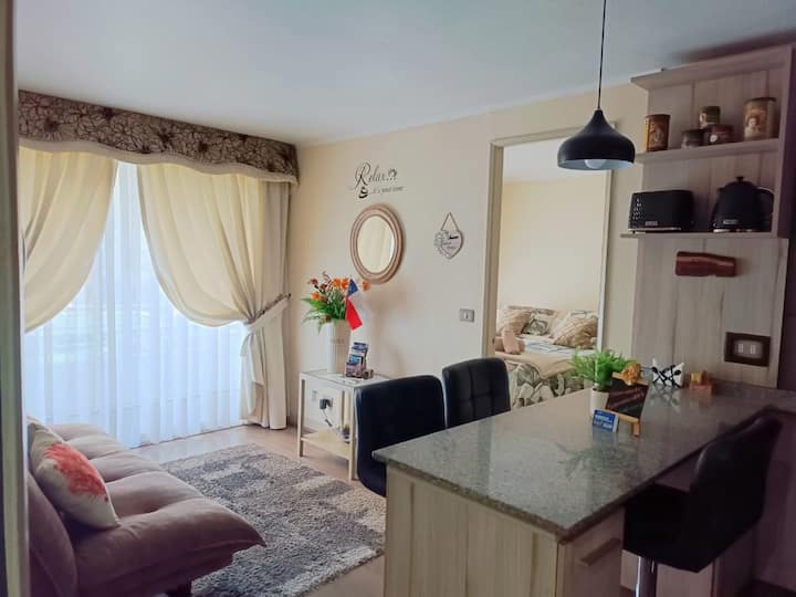 Hermoso Departamento Céntrico Ac - Santiago