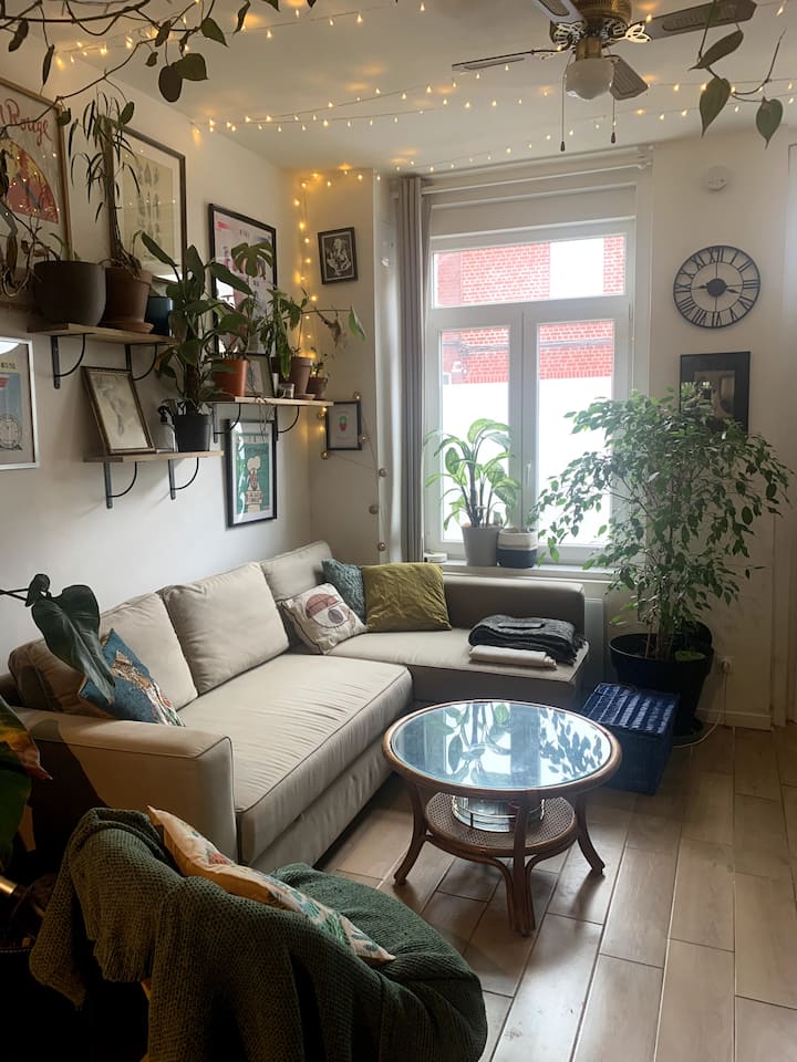 Chambre D'hôtes Lille - Lille